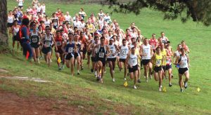 11 Training Tips for Cross Country Season | Fast Running